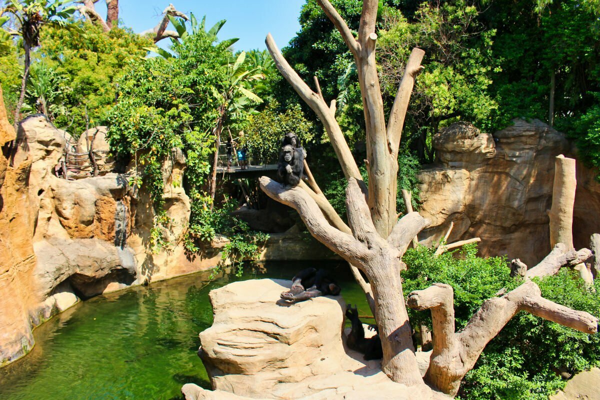 Fuengirola Travel Guide: Top 10 Things to Do - JoyofTraveler